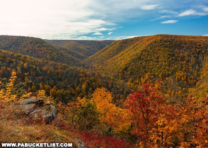 Exploring Boggs Run Vista in Clinton County - PA Bucket List