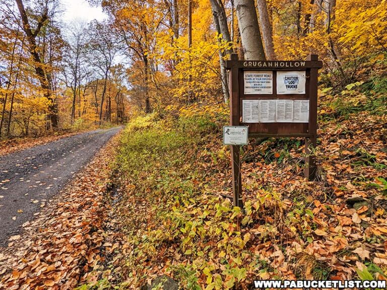 Exploring Boggs Run Vista in Clinton County - PA Bucket List
