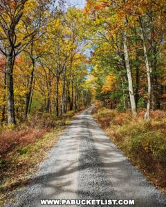 Exploring Boggs Run Vista in Clinton County - PA Bucket List