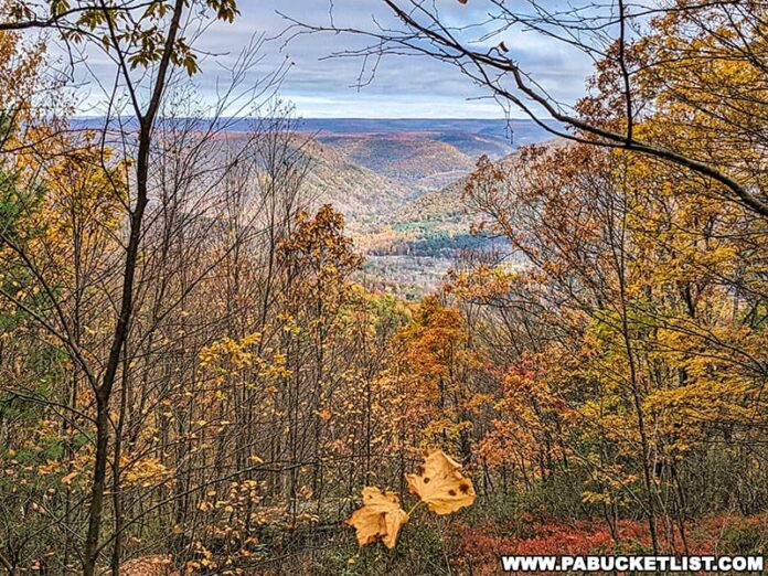 16 Must-See Attractions in the Sproul State Forest - PA Bucket List
