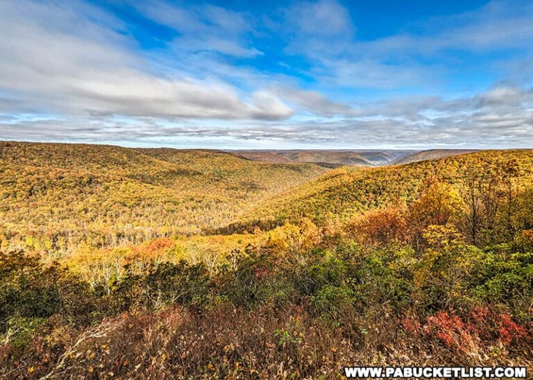 16 Must-See Attractions in the Sproul State Forest - PA Bucket List