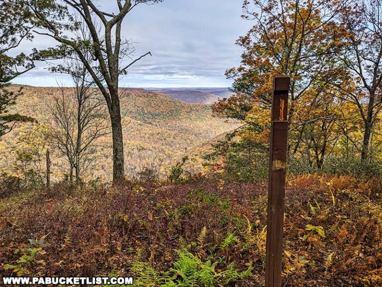 Exploring Boggs Run Vista in Clinton County - PA Bucket List
