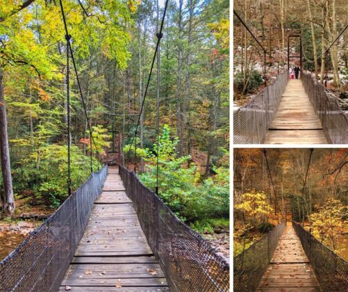 Exploring the Best Swinging Bridges in Pennsylvania
