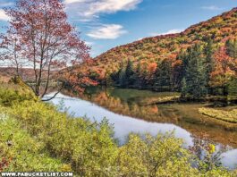 Exploring Lyman Run State Park in Potter County