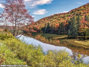 Exploring Lyman Run State Park in Potter County