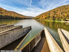 Exploring Lyman Run State Park in Potter County