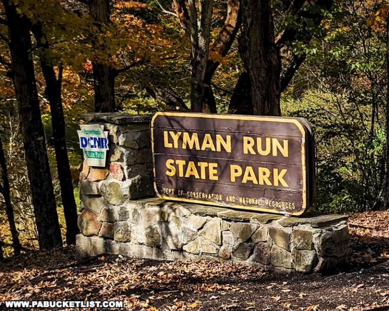 Exploring Lyman Run State Park in Potter County