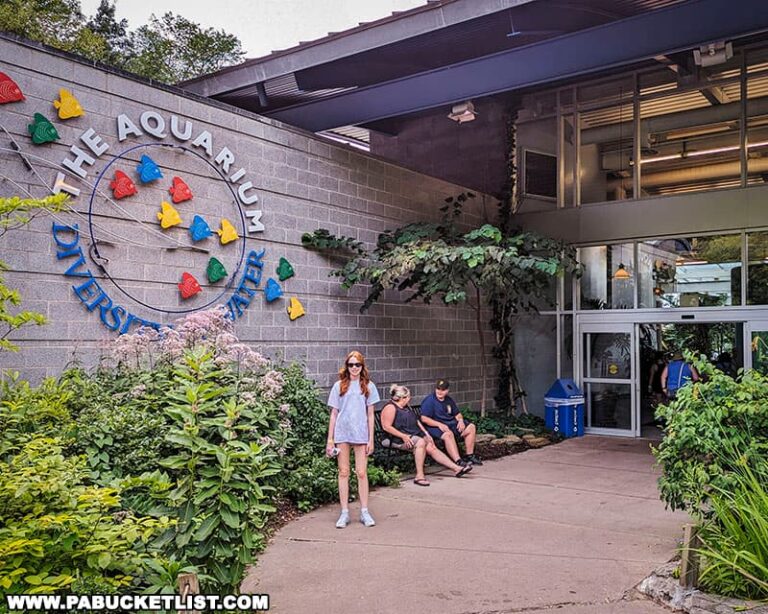 Exploring the Pittsburgh Zoo and Aquarium - PA Bucket List