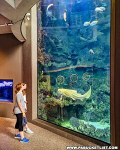 Exploring the Pittsburgh Zoo and Aquarium - PA Bucket List