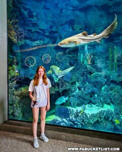 Exploring the Pittsburgh Zoo and Aquarium - PA Bucket List