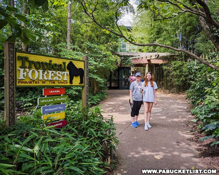 Exploring the Pittsburgh Zoo and Aquarium - PA Bucket List