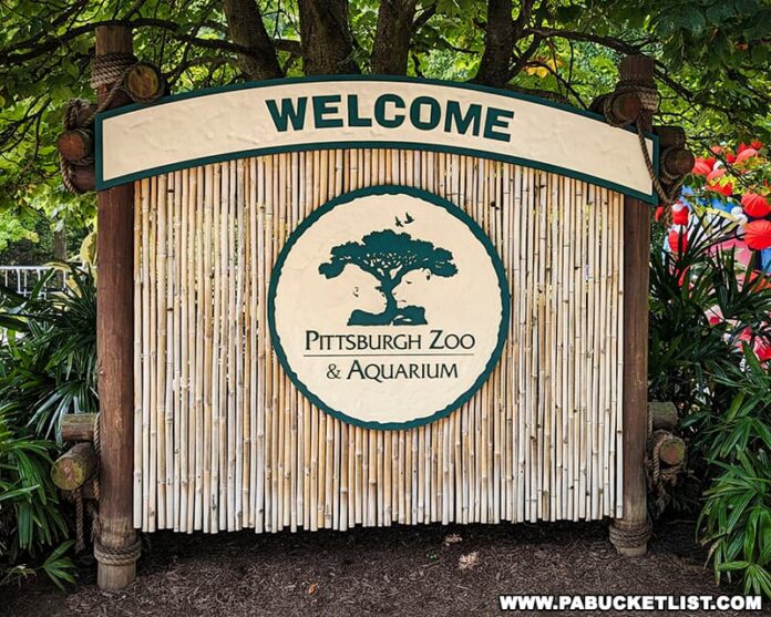 Exploring the Pittsburgh Zoo and Aquarium - PA Bucket List
