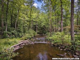 Exploring Sand Bridge State Park | The Smallest State Park in PA
