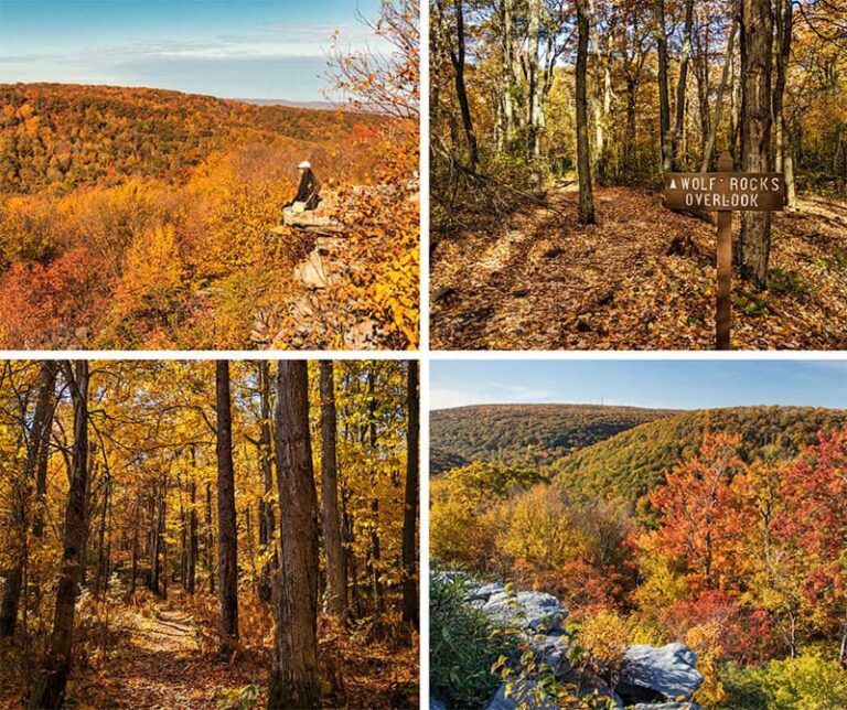 Exploring Wolf Rocks Overlook in the Forbes State Forest