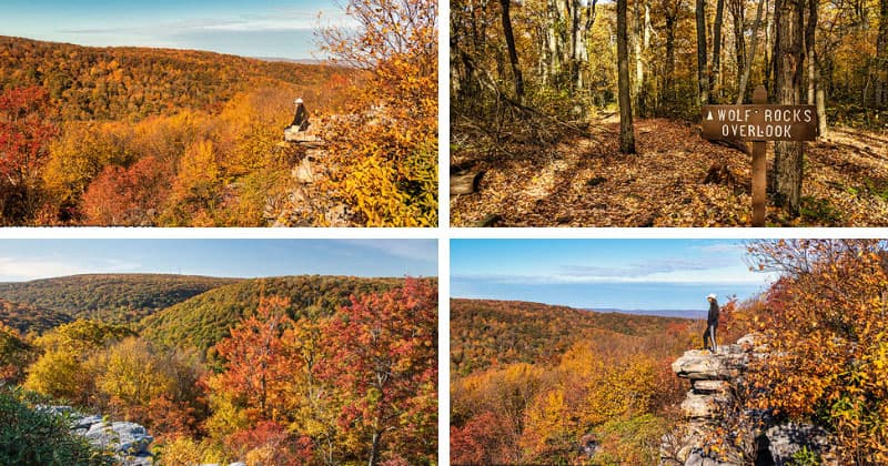 Exploring Wolf Rocks Overlook in the Forbes State Forest
