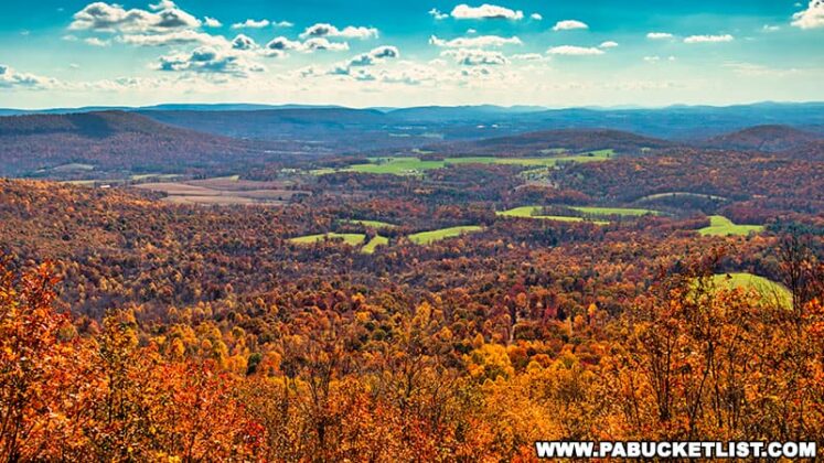 The 7 Best Scenic Overlooks in the Buchanan State Forest