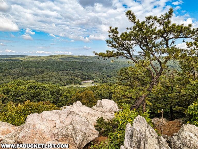 Exploring Pole Steeple Overlook in the Michaux State Forest - PA Bucket ...