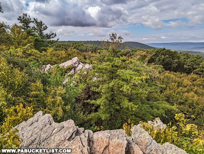 Exploring Pole Steeple Overlook in the Michaux State Forest - PA Bucket ...