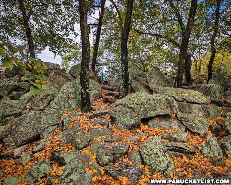 Exploring Pole Steeple Overlook in the Michaux State Forest - PA Bucket ...