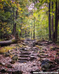 Exploring Pole Steeple Overlook in the Michaux State Forest - PA Bucket ...