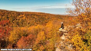 Exploring Wolf Rocks Overlook in the Forbes State Forest