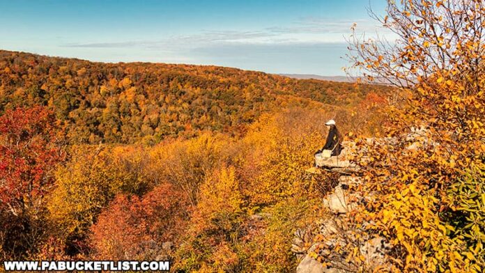 Exploring Wolf Rocks Overlook in the Forbes State Forest