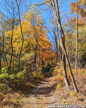 The Appalachian Trail Halfway Point | A Milestone Marker in PA