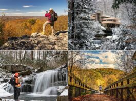 Hiking the Quebec Run Wild Area in Fayette County - PA Bucket List