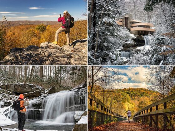 Hiking the Quebec Run Wild Area in Fayette County - PA Bucket List