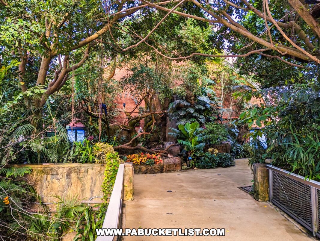 Exploring the National Aviary in Pittsburgh - PA Bucket List