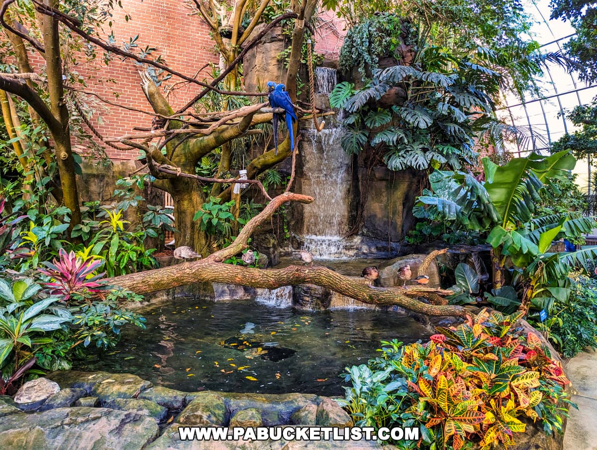 Exploring the National Aviary in Pittsburgh - PA Bucket List