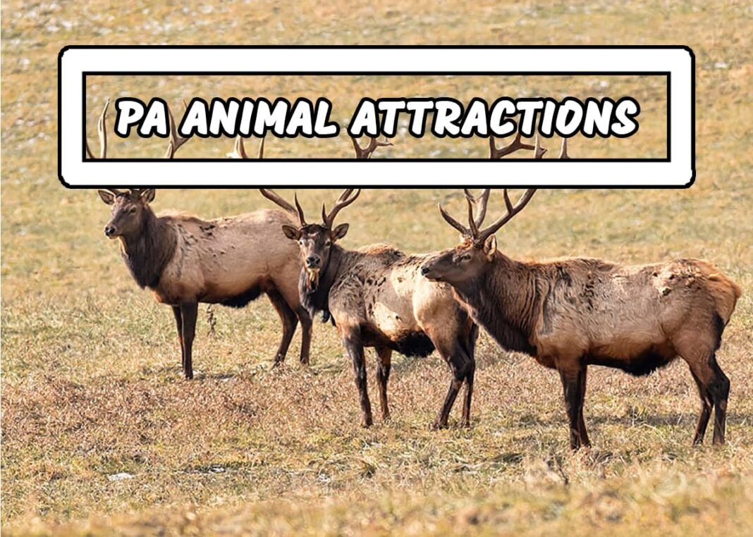 Destinations - PA Bucket List