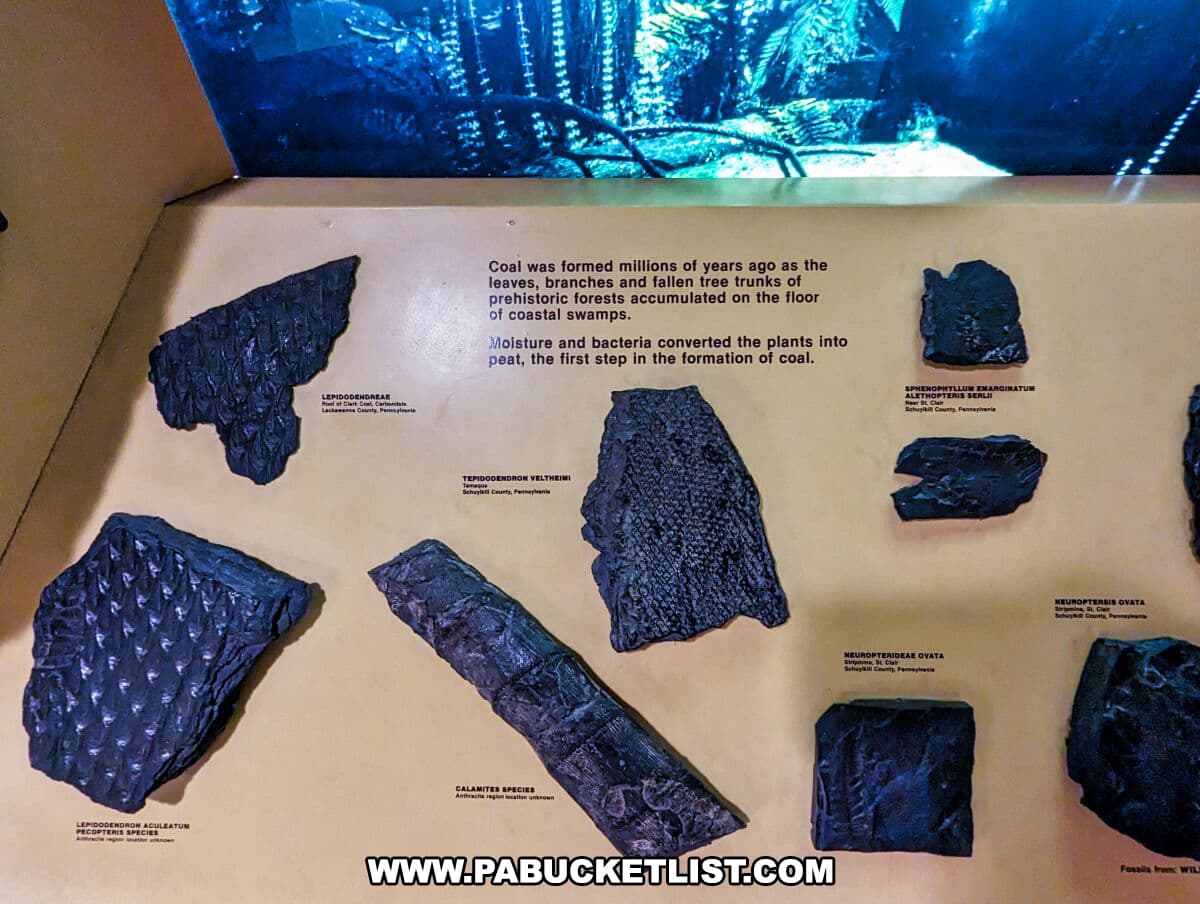 Exploring the Museum of Anthracite Mining in Ashland - PA Bucket List