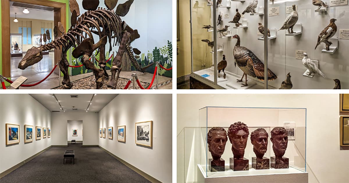 Exploring the Everhart Museum in Scranton - PA Bucket List