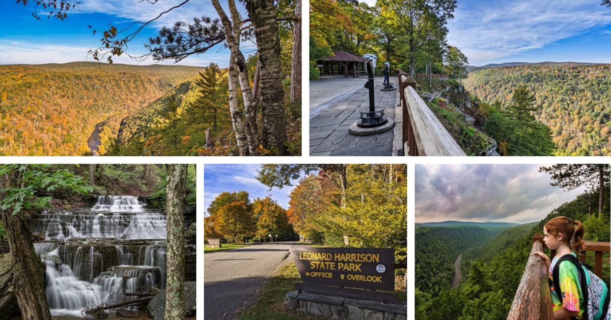 Exploring Leonard Harrison State Park in Tioga County