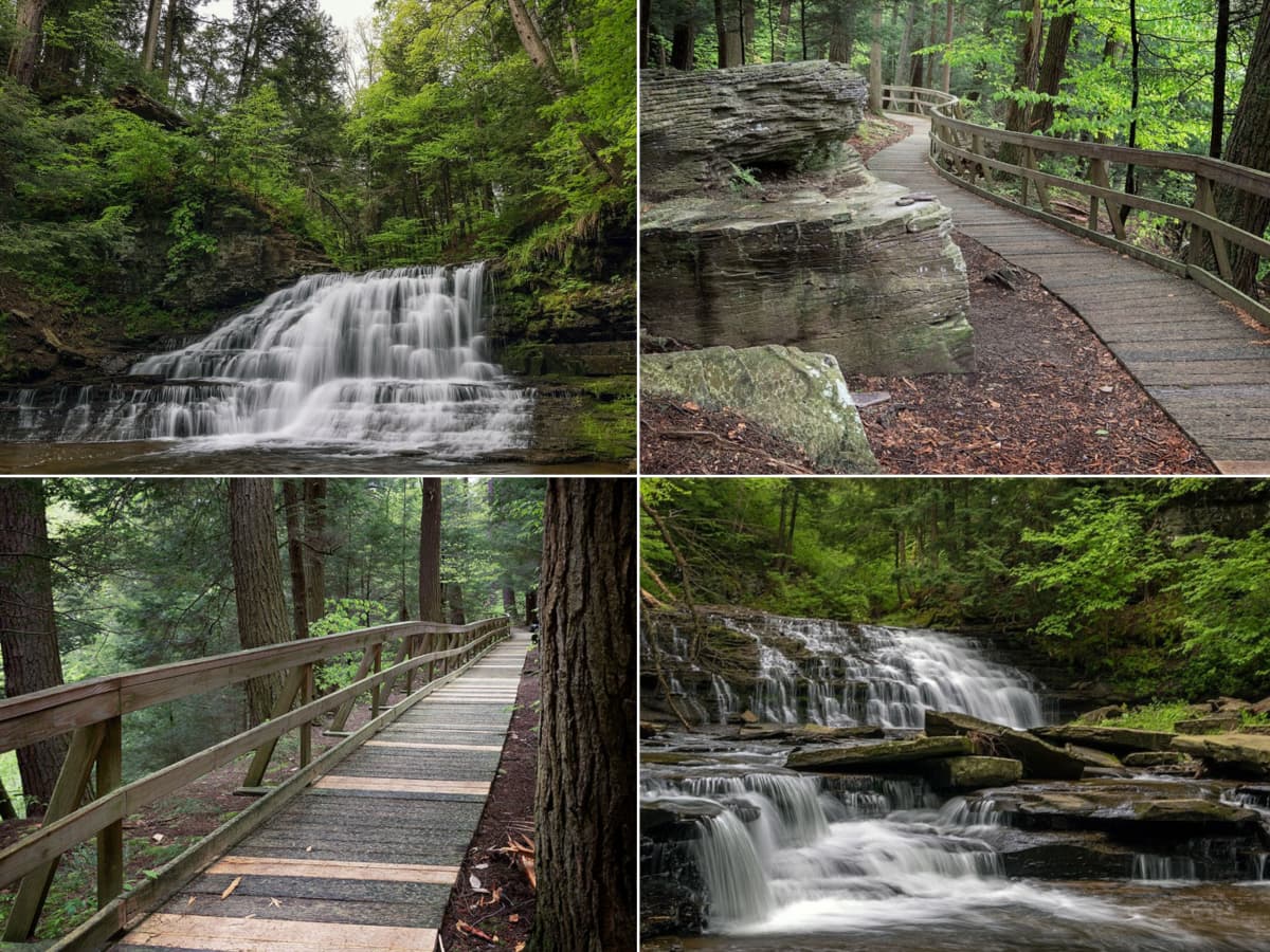 Exploring the Waterfalls at Salt Springs State Park