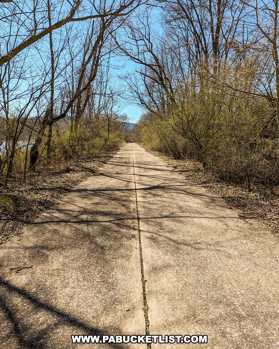 Exploring the Sunken Highway at Bald Eagle State Park - PA Bucket List