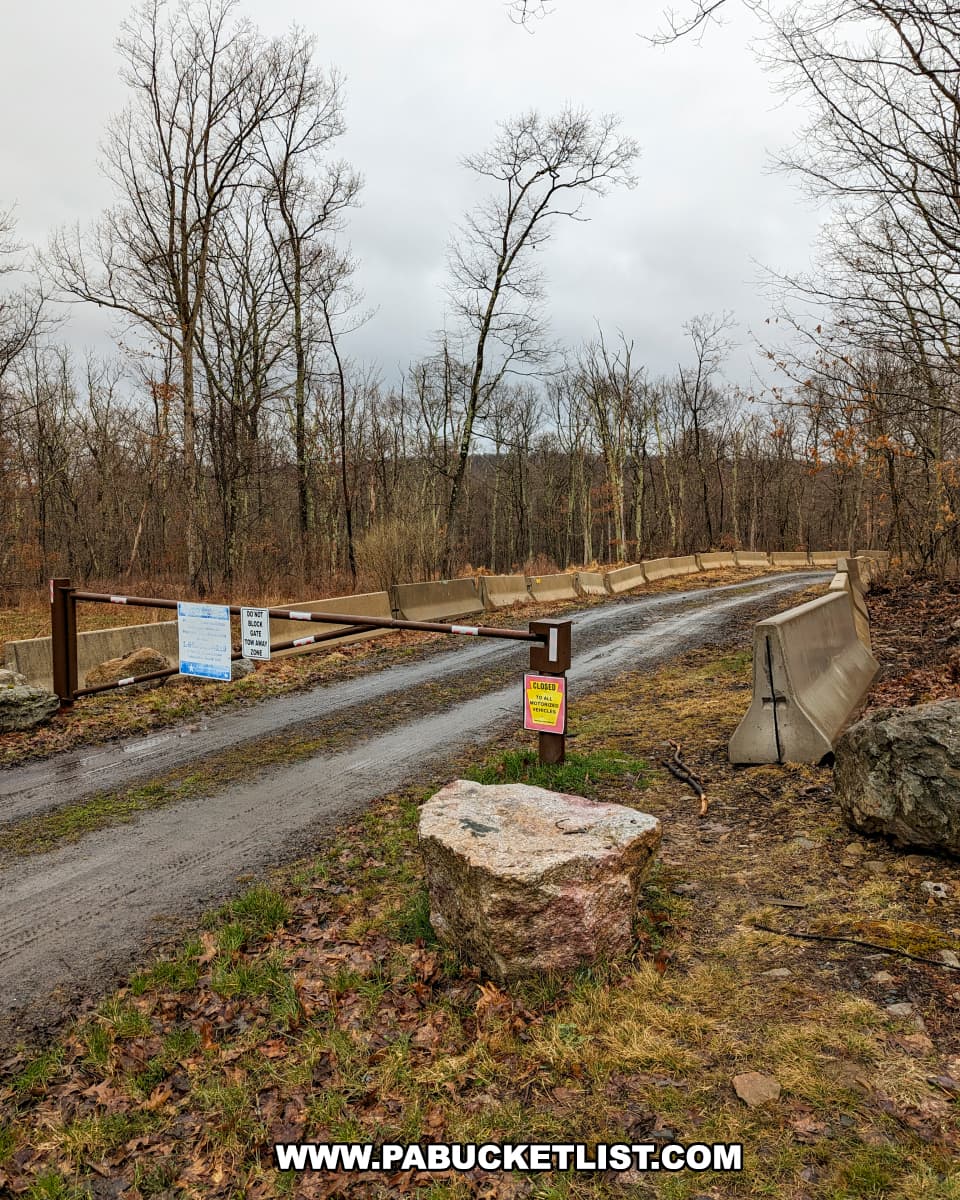 Exploring Salvatore Falls in Luzerne County - PA Bucket List