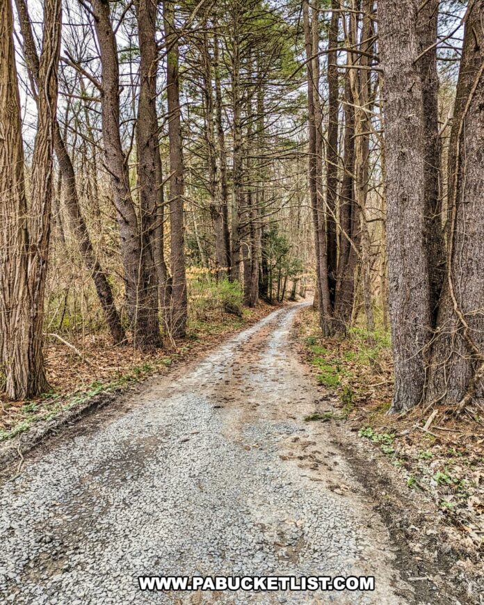 Exploring Lower Indian Ladders Falls in Pike County - PA Bucket List