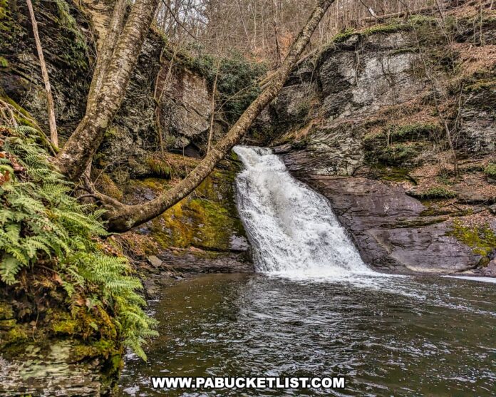 Exploring Lower Indian Ladders Falls in Pike County - PA Bucket List