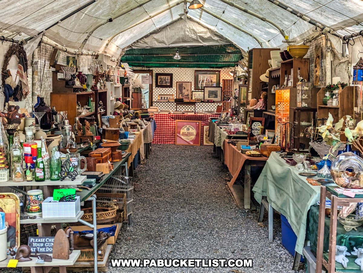 Exploring Shupp's Grove Flea Market in Lancaster County - PA Bucket List