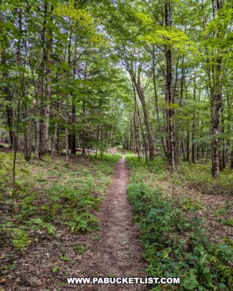 Exploring Tidioute Overlook in Warren County - PA Bucket List