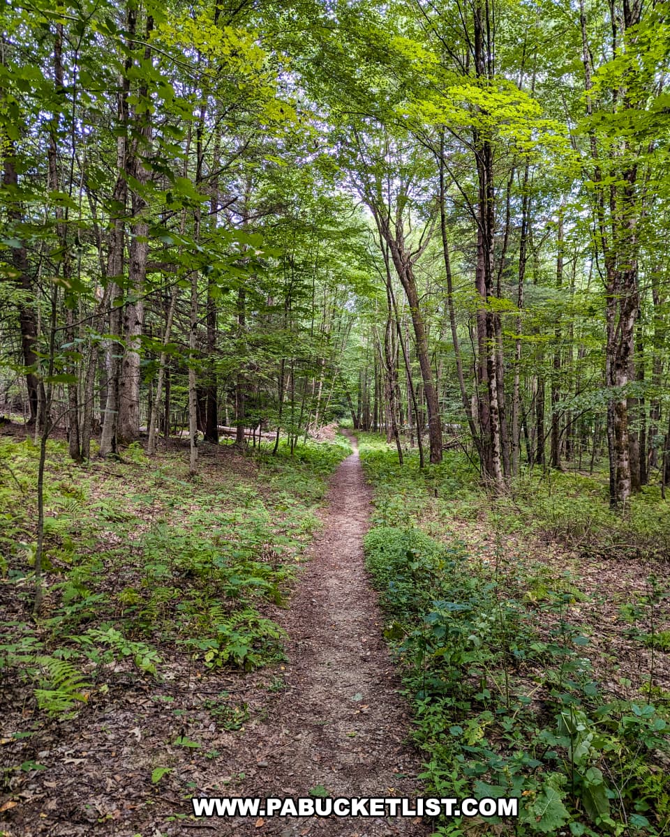 Exploring Tidioute Overlook in Warren County - PA Bucket List