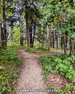 Exploring Tidioute Overlook in Warren County - PA Bucket List