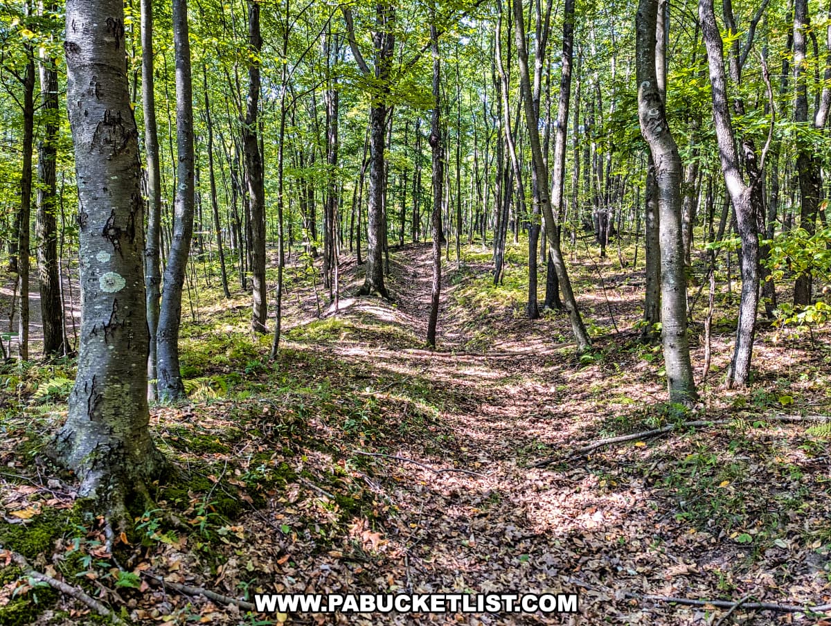 Exploring the Gettysburg Campaign Trenches in Bedford County - PA ...