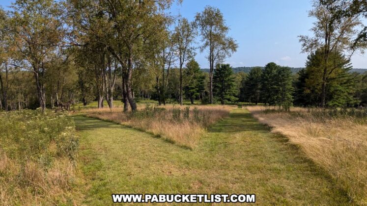 Exploring the Ghost Town of Pithole in Venango County - PA Bucket List