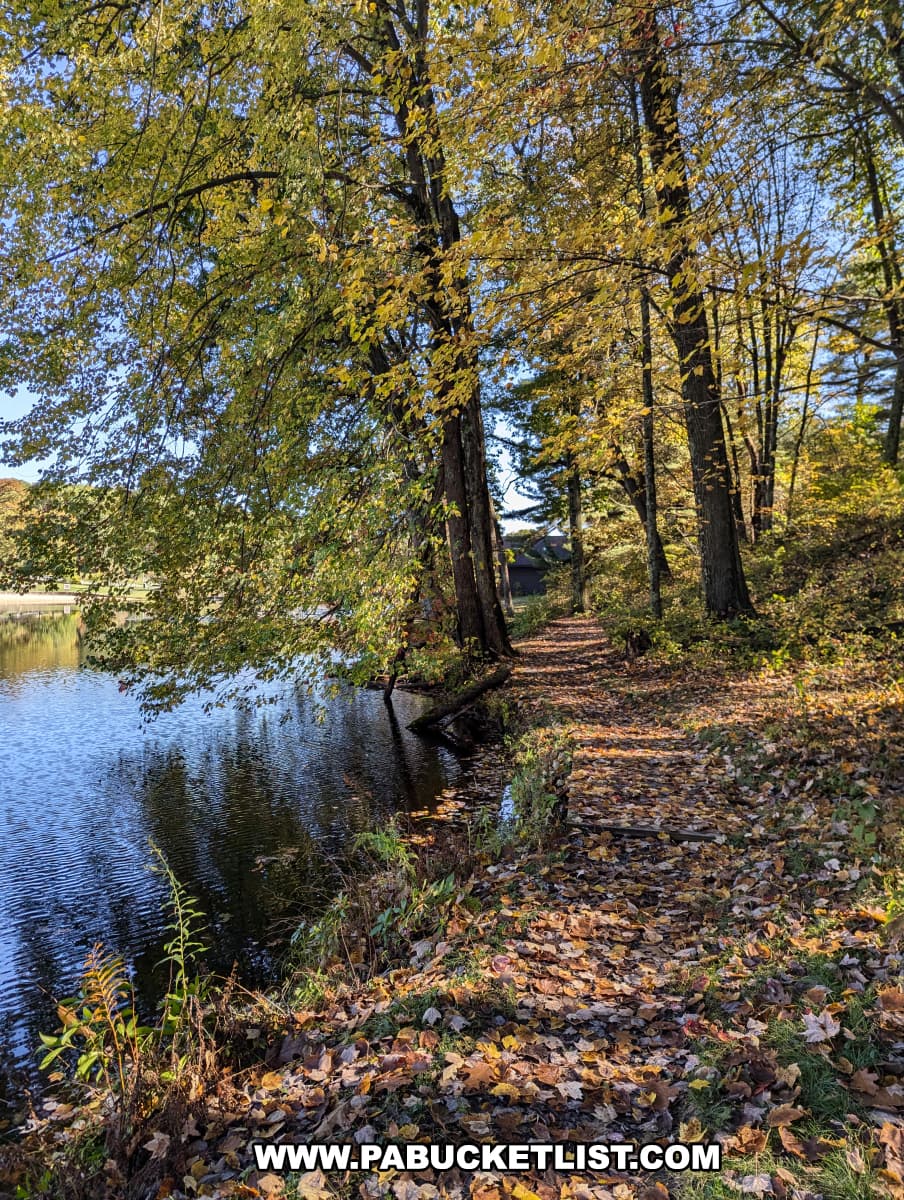 Centre County 2024 Fall Foliage Update - PA Bucket List