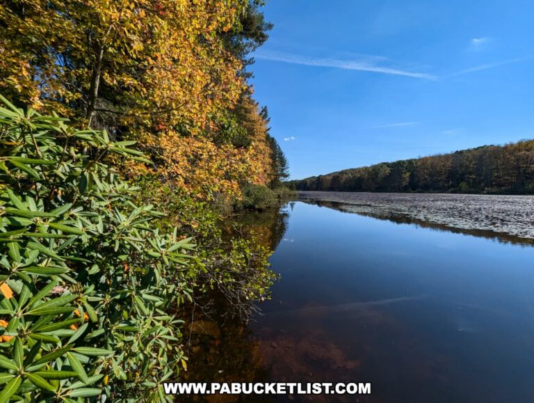 Centre County 2024 Fall Foliage Update - PA Bucket List