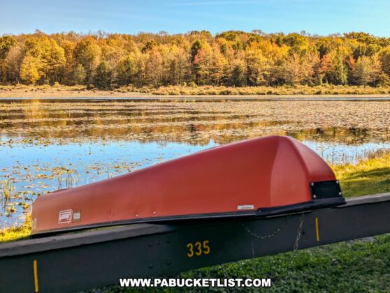 Centre County 2024 Fall Foliage Update - PA Bucket List