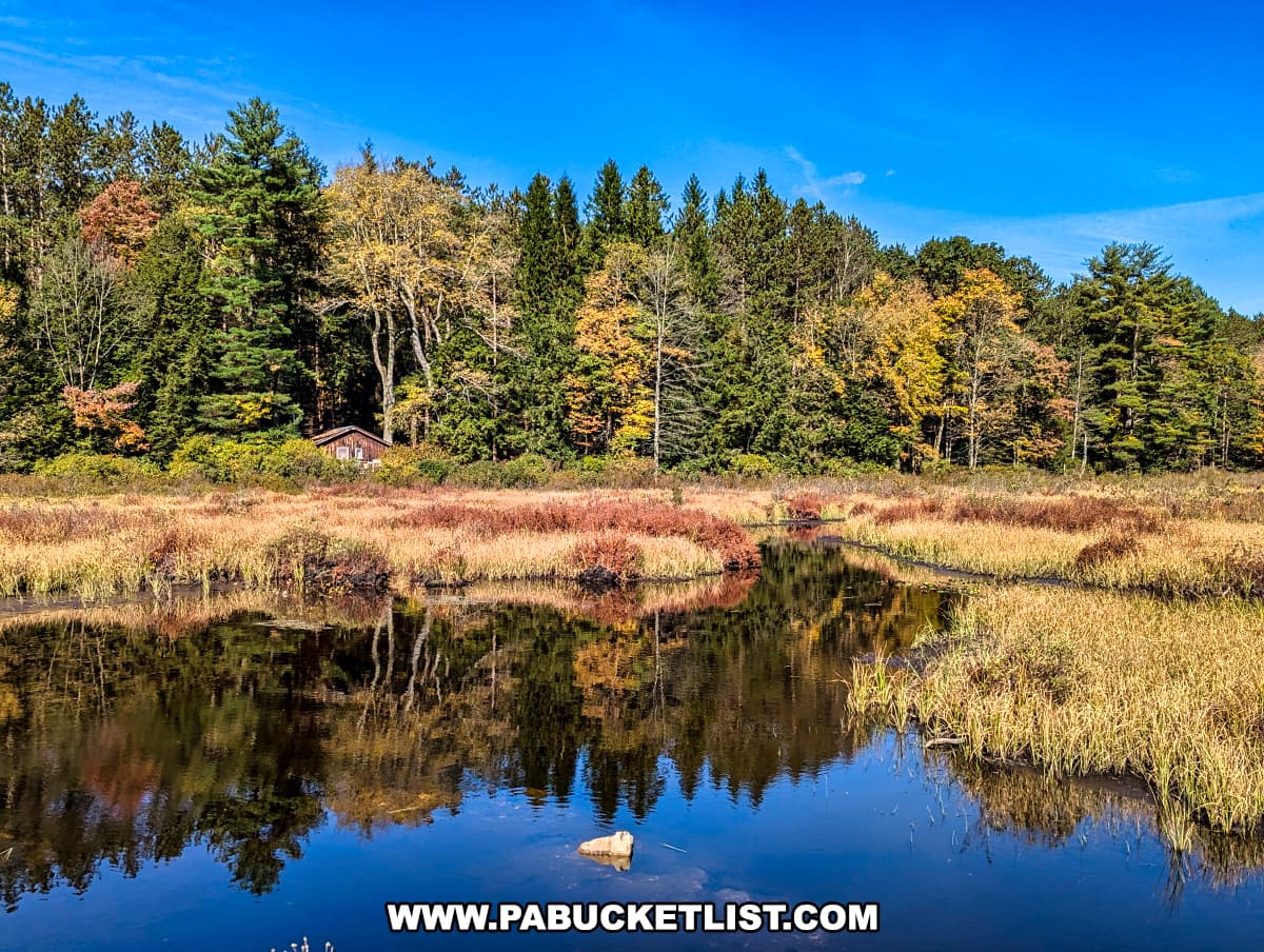 Centre County 2024 Fall Foliage Update - PA Bucket List